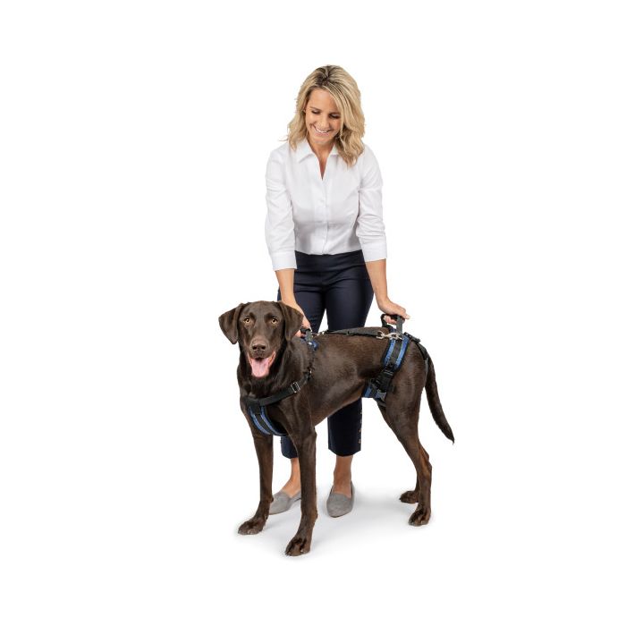 PetSafe CareLift™ Hebegeschirr